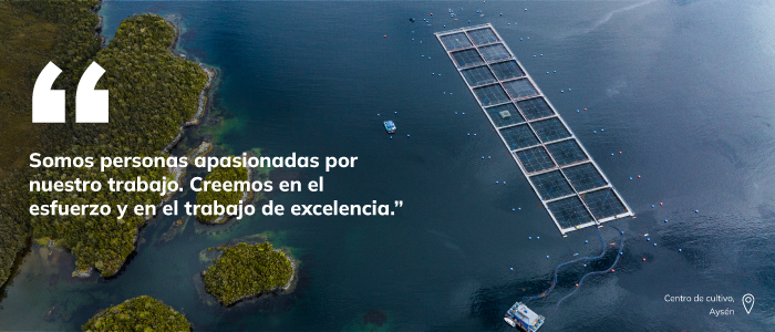 Empleos en BLUMAR | Laborum Chile