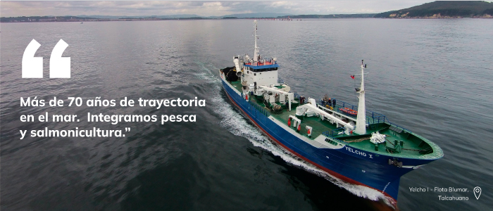 Empleos en BLUMAR | Laborum Chile